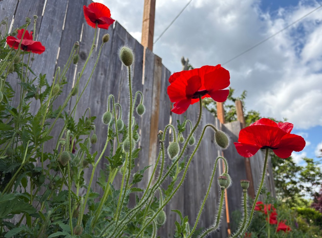 Bodywork – 🐝 Bex Bee